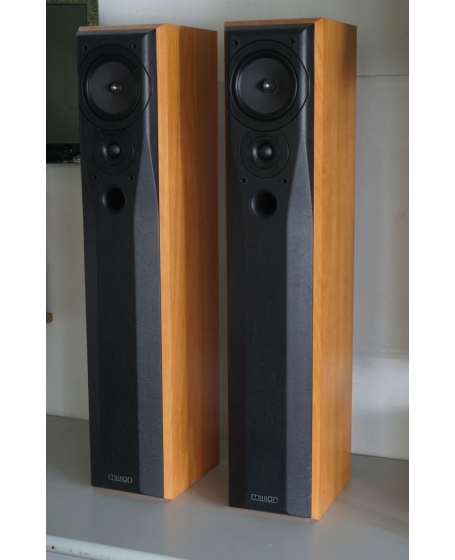 Floorstanding Speaker